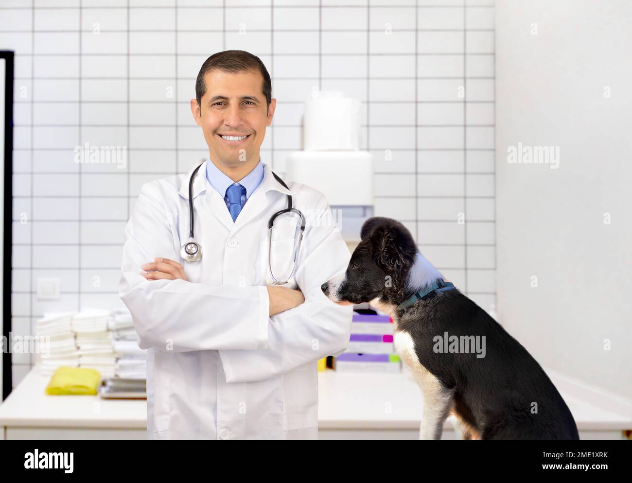 A handsome veterinarian standing with his arms folded and smiling at ...