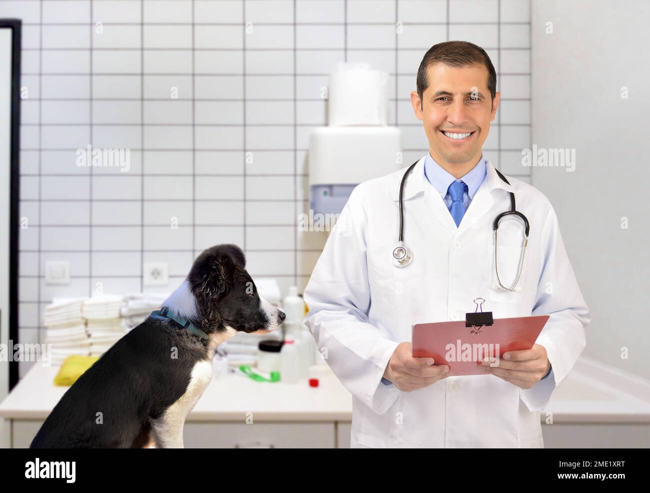 Black male vet doctor dog hi-res stock photography and images - Alamy