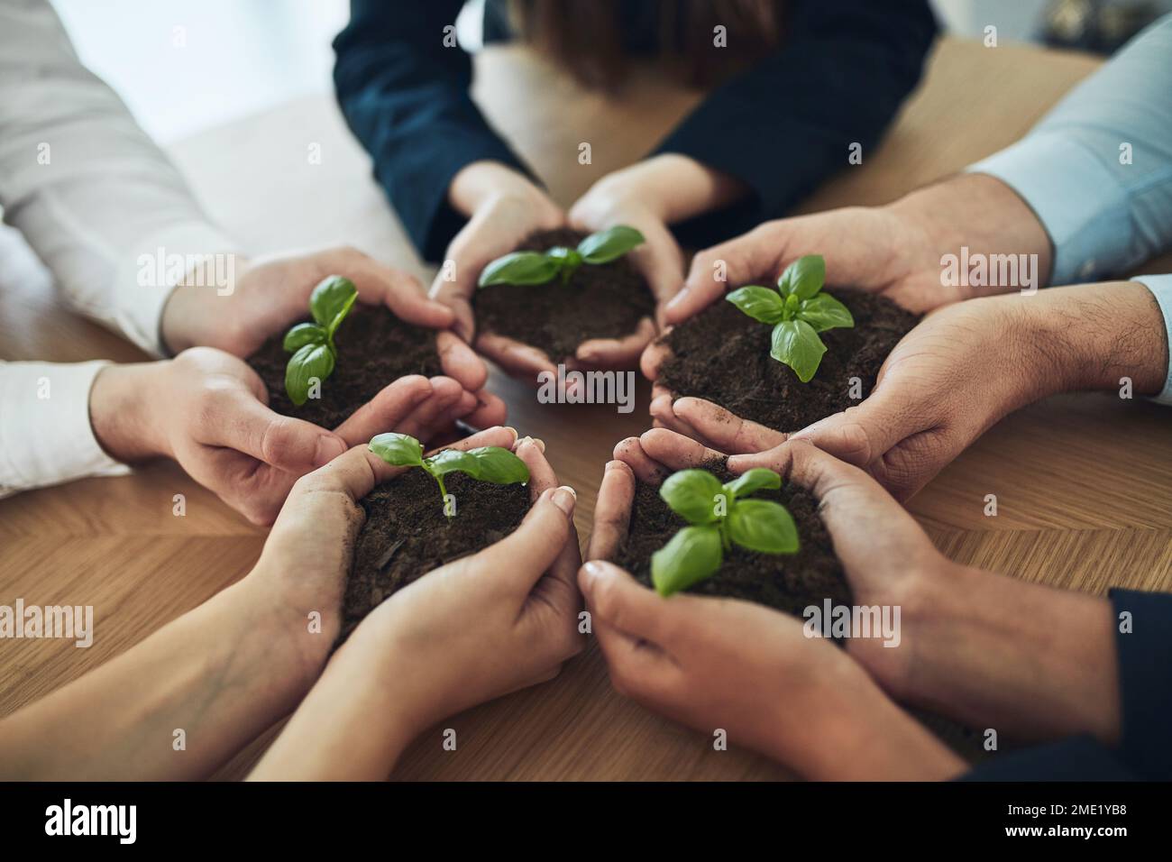 Teamwork nurtures business growth. a group of businesspeople holding ...