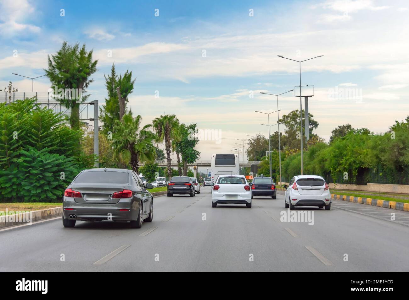 Dense stream of cars on a city road back view, a green street Stock ...