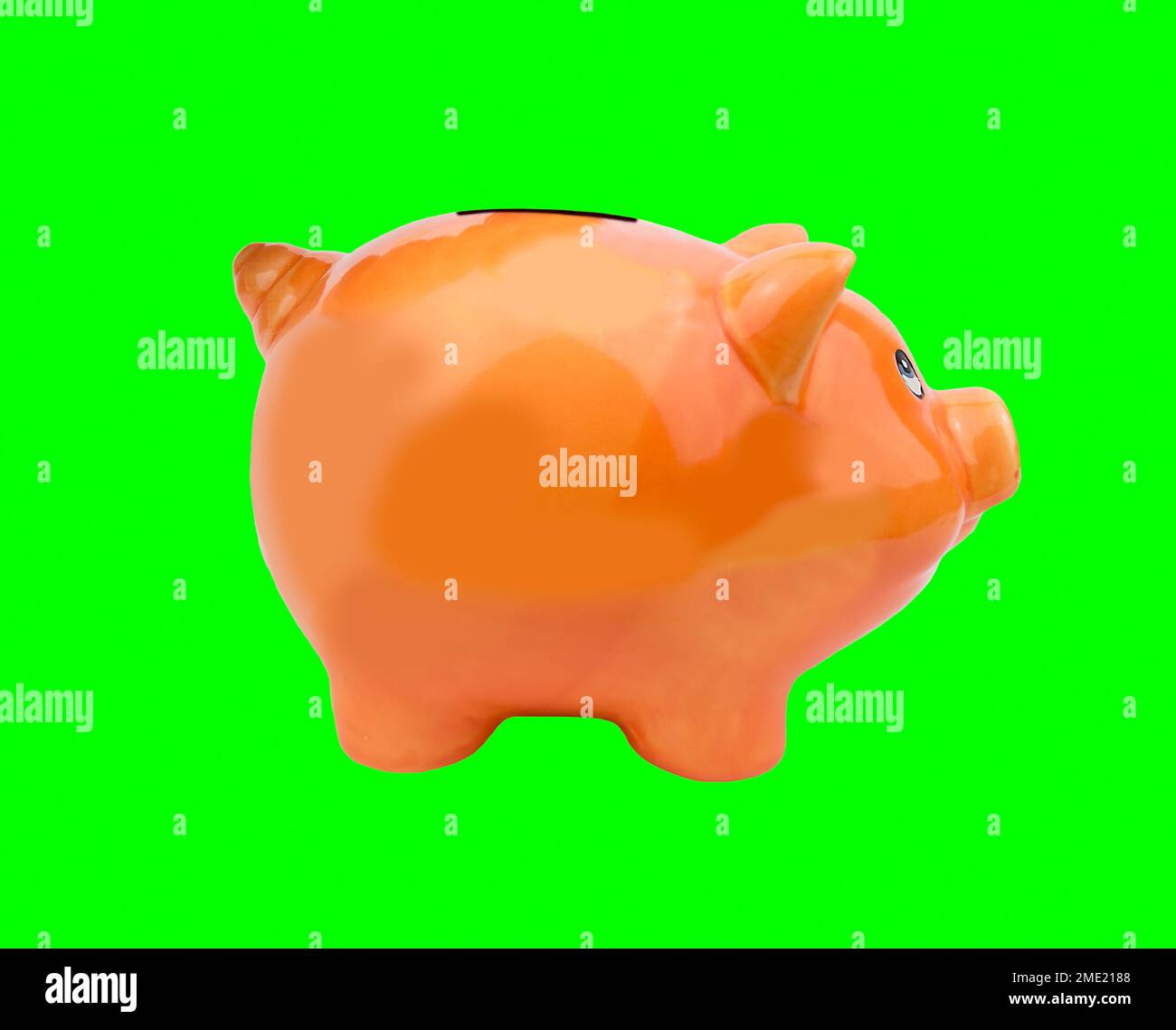 Pig on chroma key hi-res stock photography and images - Alamy