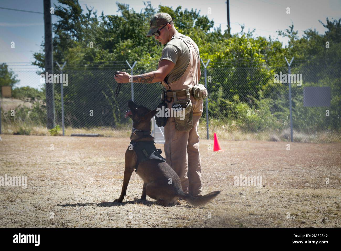 Spc. Omar Valle, a military working dog handler with the 226th Military ...