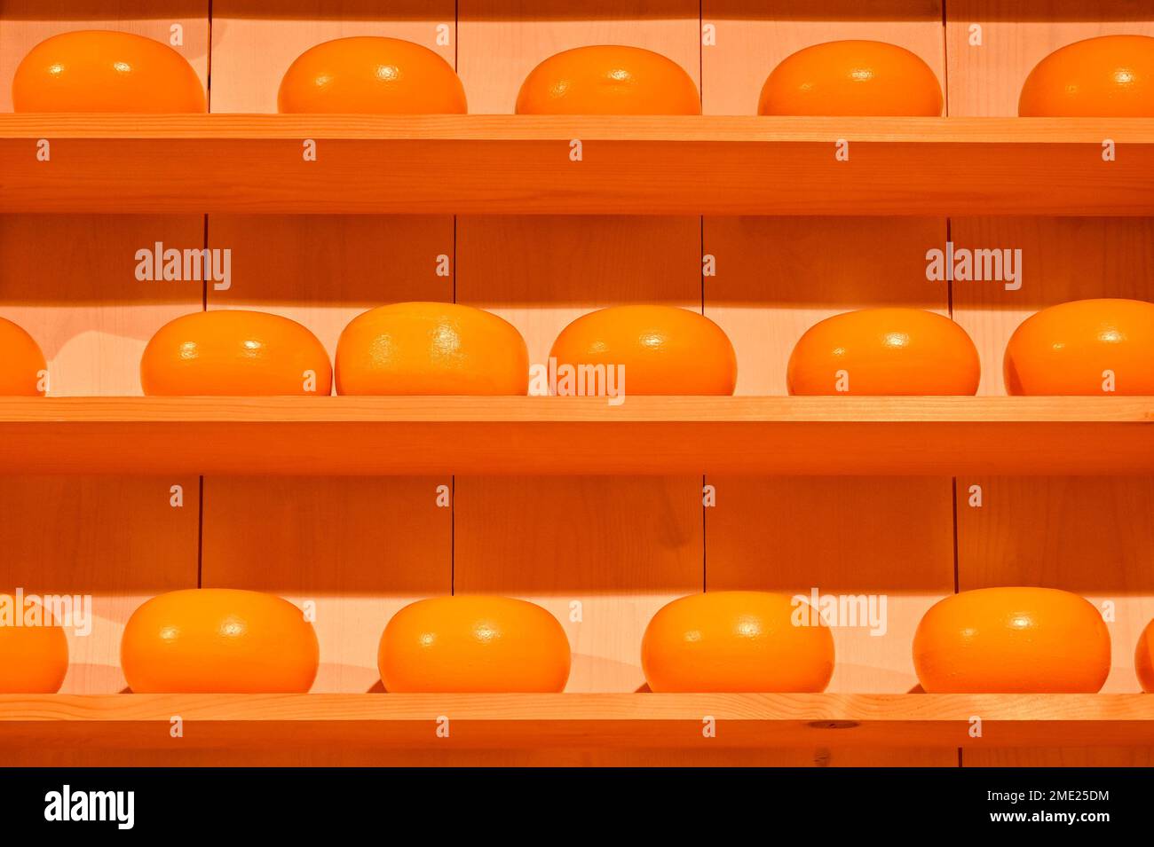 Large round mature Dutch Edam cheeses on wooden shelves. No people ...