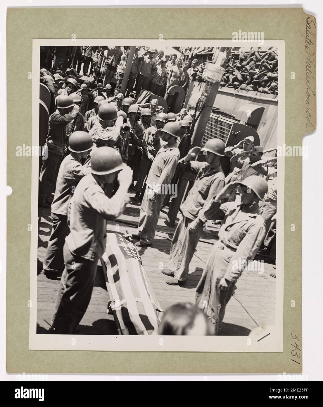 Honor Guard Salutes Fallen Comrade. A Marine honor guard salutes a ...