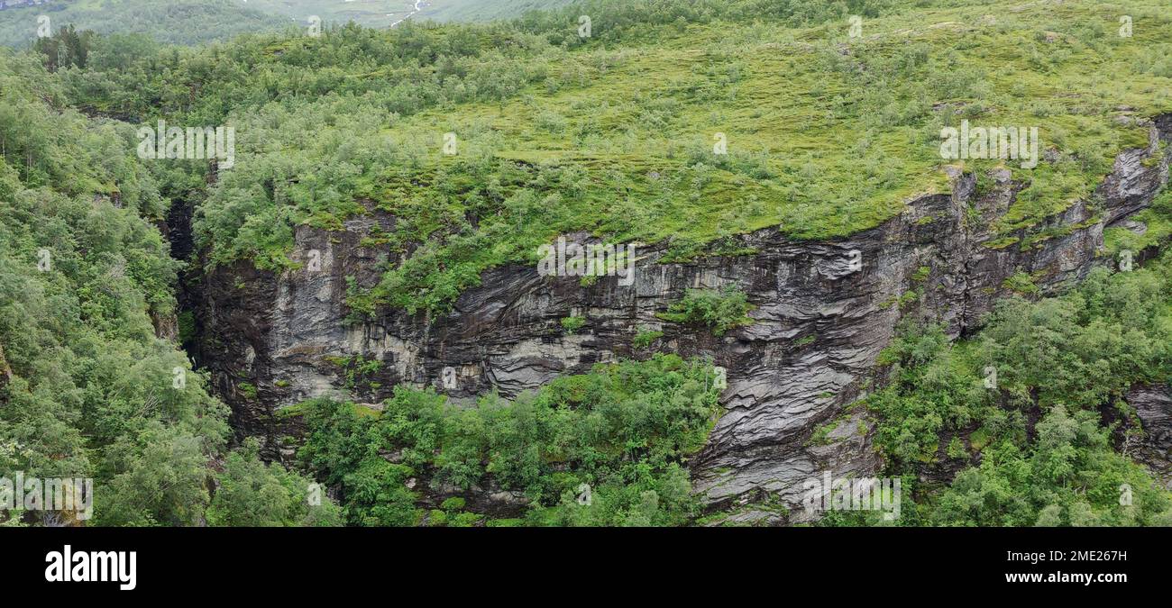 The big rocky cliff covered in dense trees with green foliage during ...