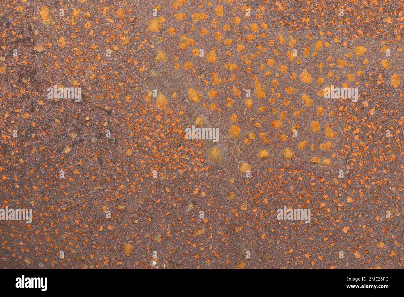 A closeup of the rusty metal surface for backgrounds and overlays Stock ...