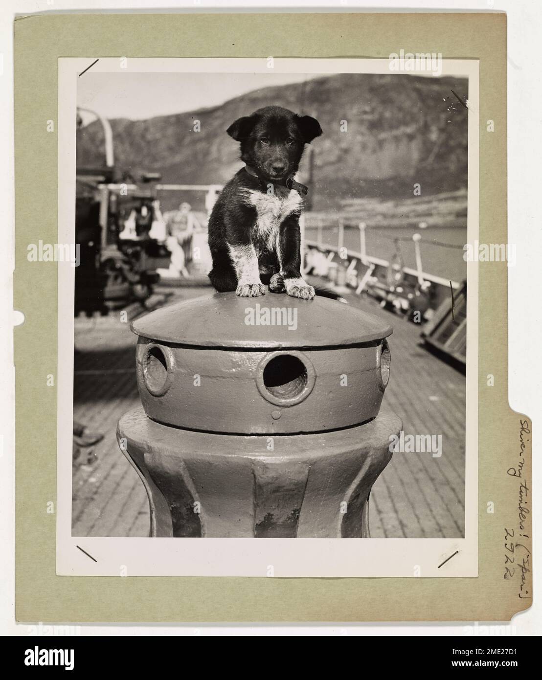 Spar, the Coast Guard combat cutter mascot, poses aboard the ship while ...