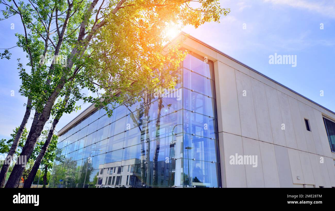 Eco architecture. Green tree and glass office building. The harmony of ...
