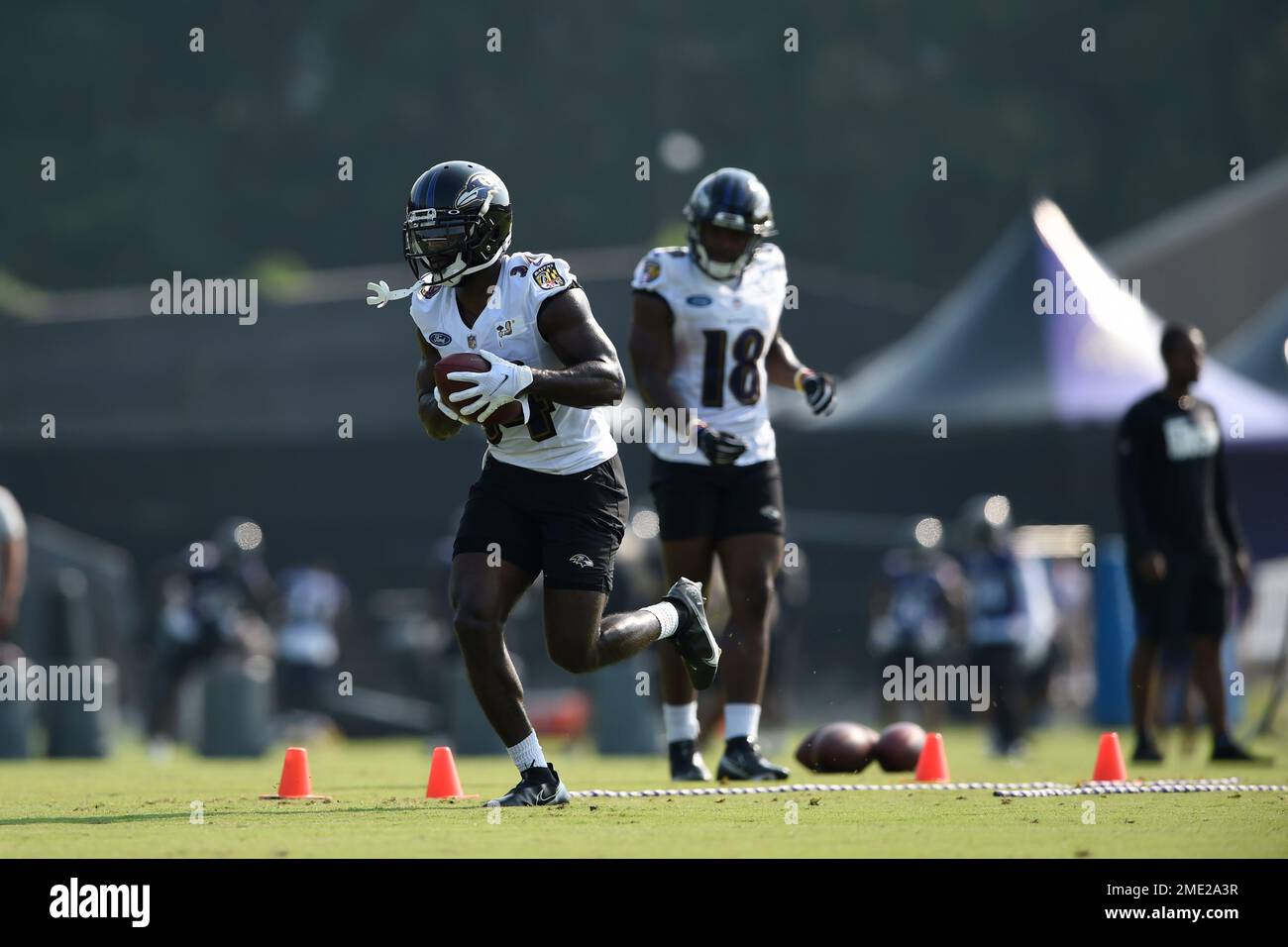 Baltimore Ravens running back TySon Williams during an NFL football ...