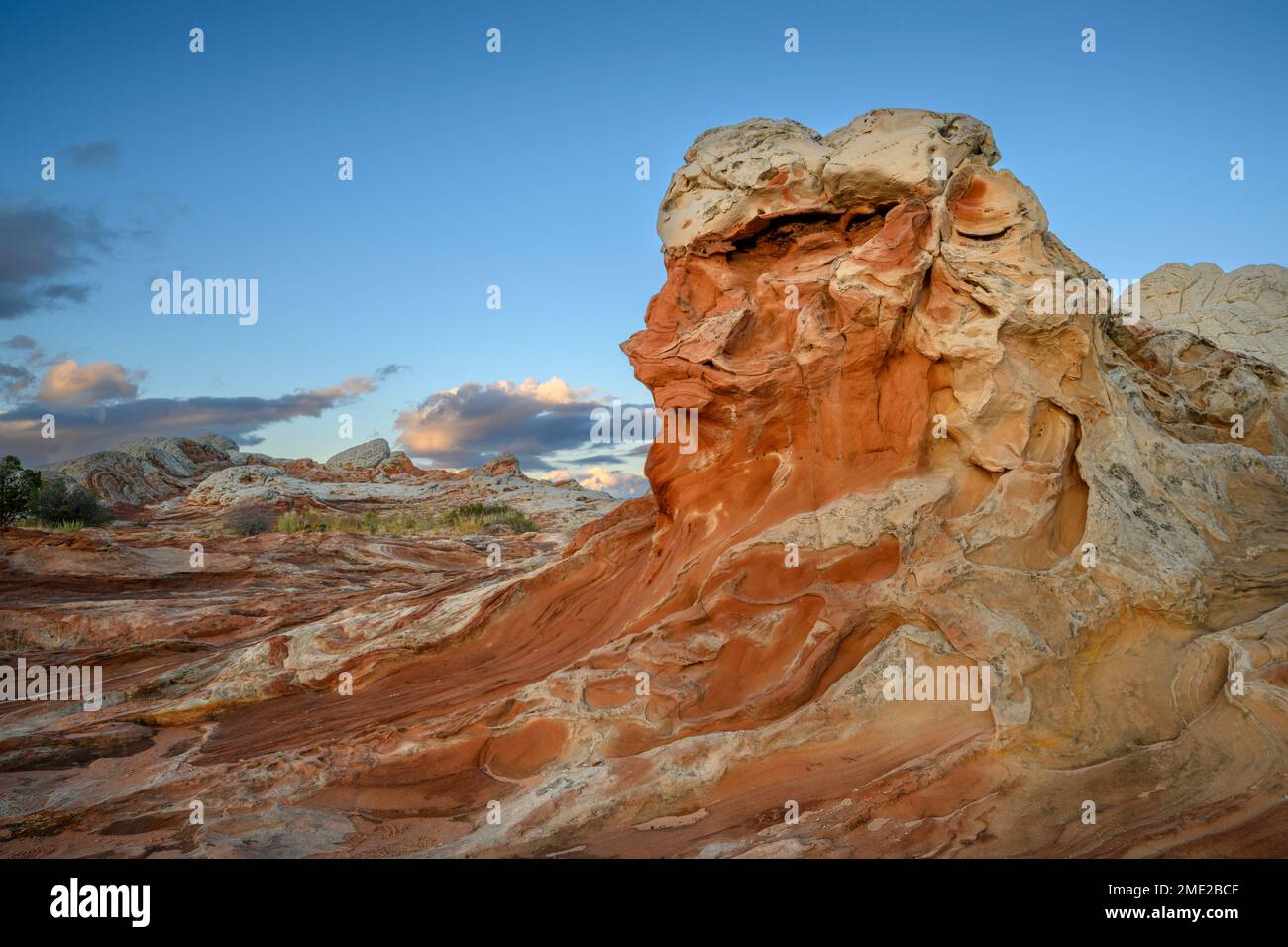 Sandstone rock formations at White Pocket in Vermillion Cliffs National ...