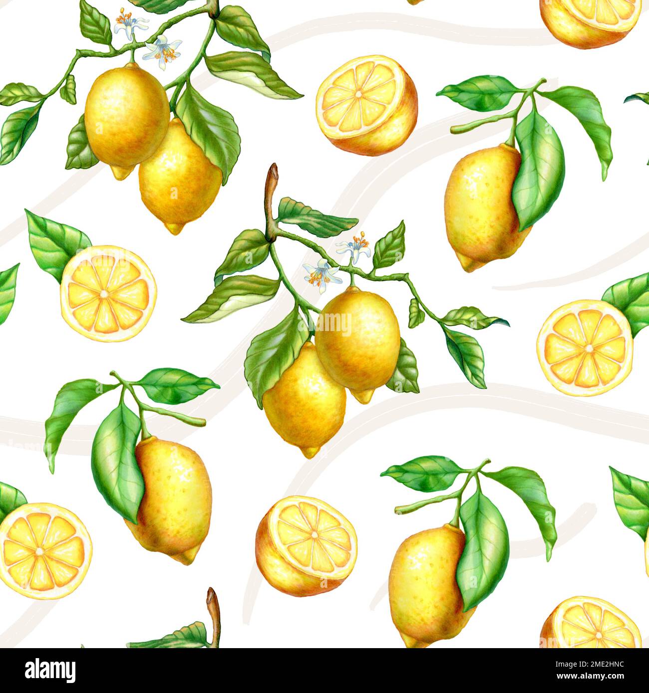 Lemon seamless pattern with hand-drawn elements. Digital illustration ...