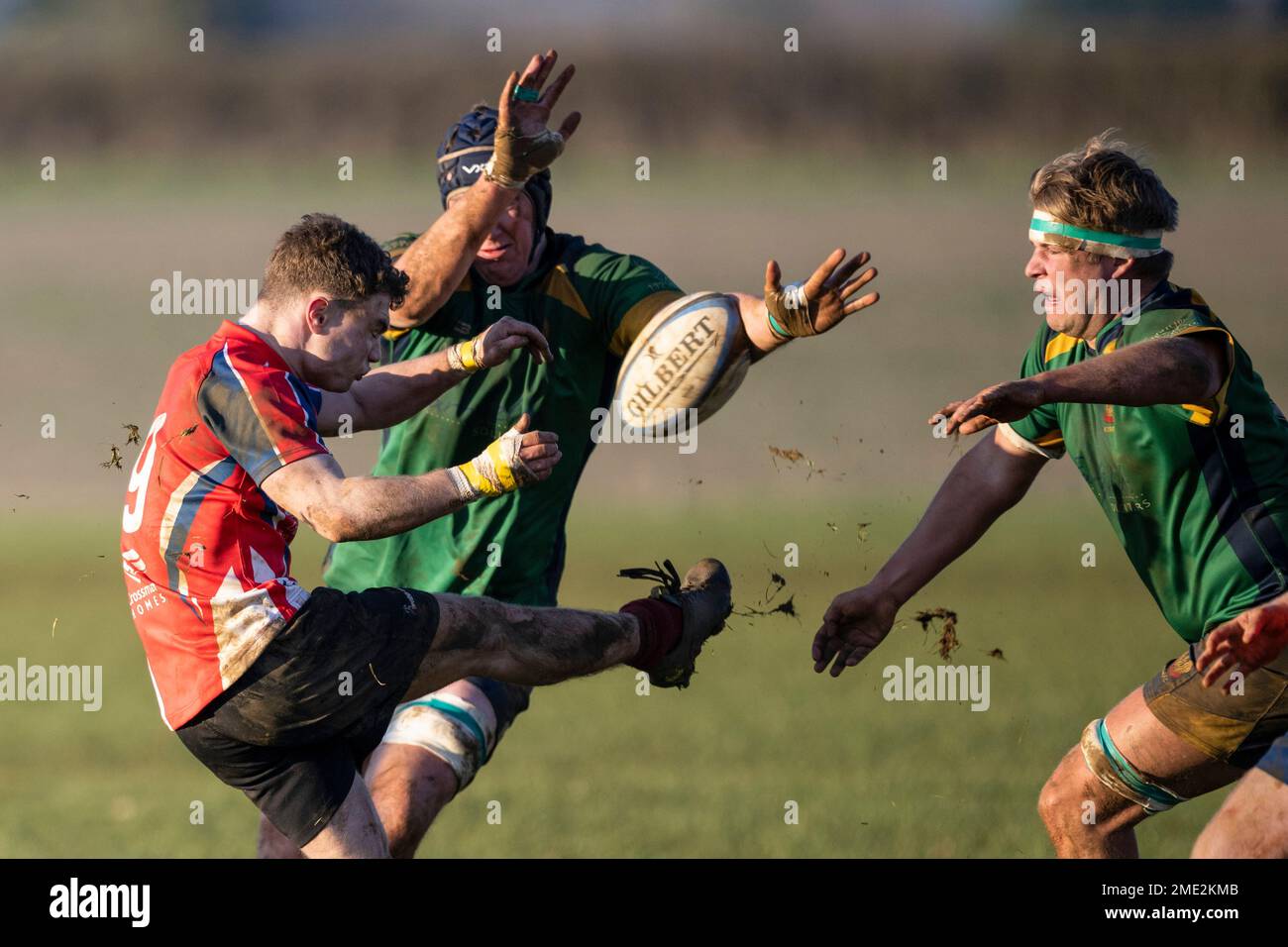 Rugby ball hitting player hi-res stock photography and images - Alamy