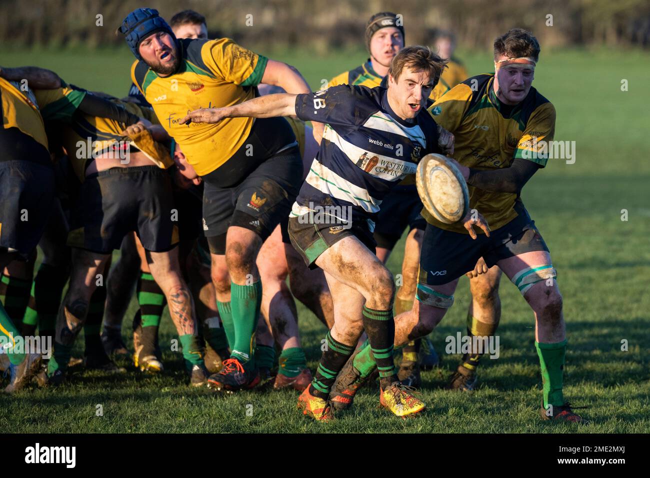 Scrum half under pressure hi-res stock photography and images - Alamy