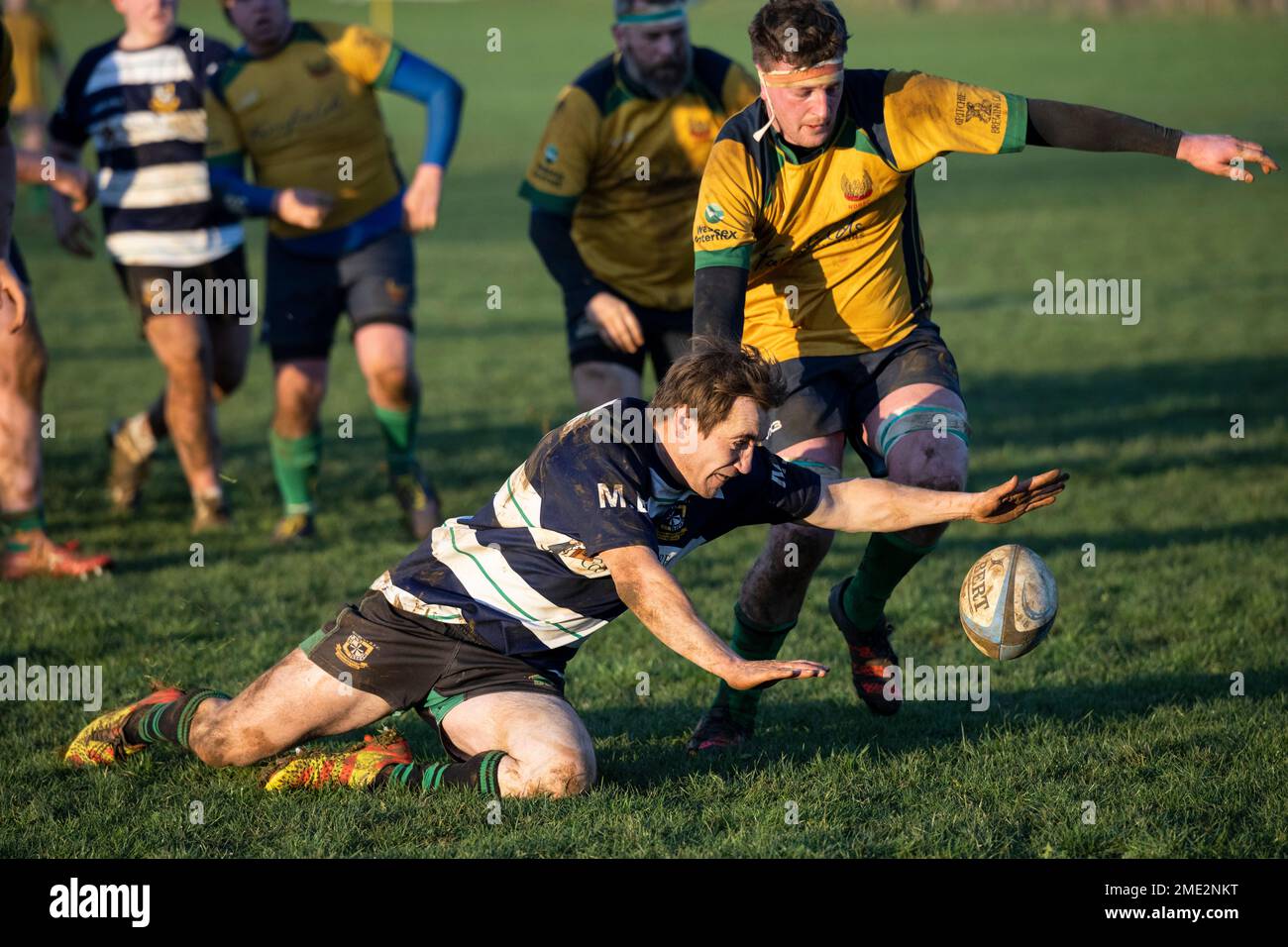 Westbury rfc hi-res stock photography and images - Alamy