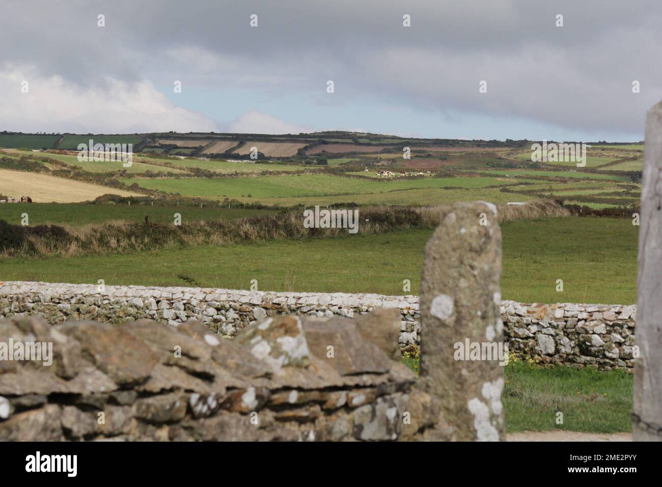 a british landscape with a stone wall and little fields with hedges at ...