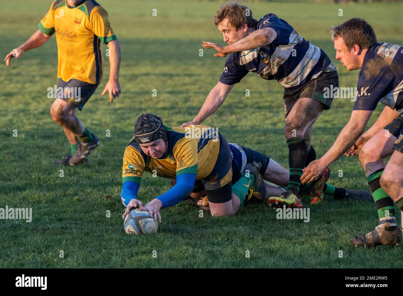 North Dorset RFC - Gillingham - Dorset- England. North Dorset Badgers v ...