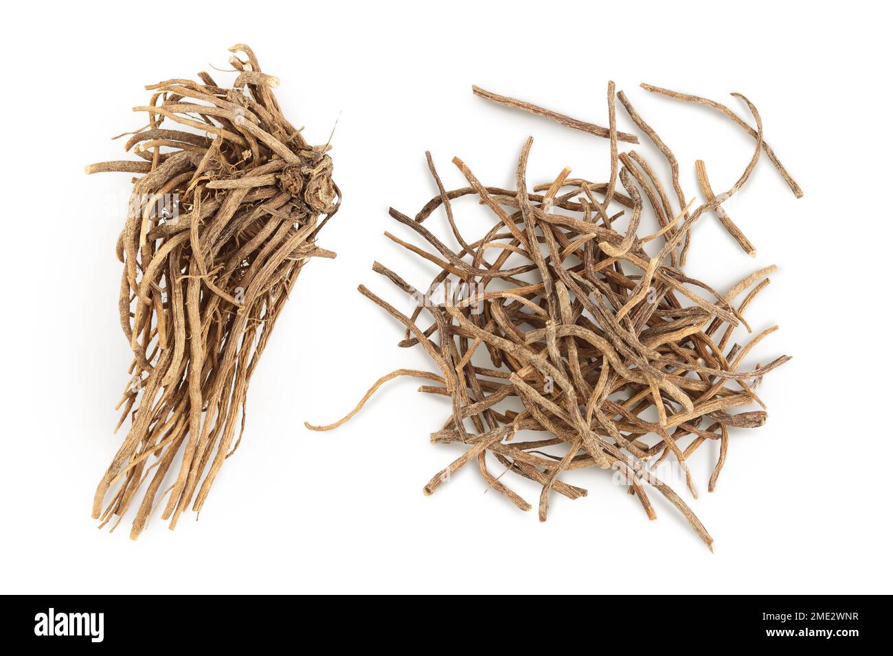 Dried Valerian root isolated on white background. Valeriana officinalis ...