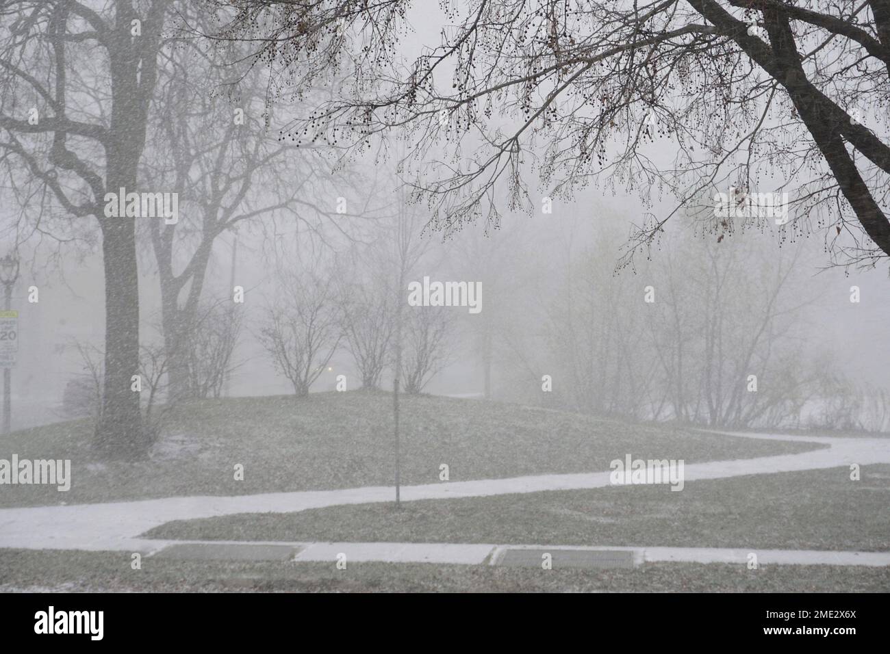Snowstorm in late fall with trees in background Stock Photo - Alamy