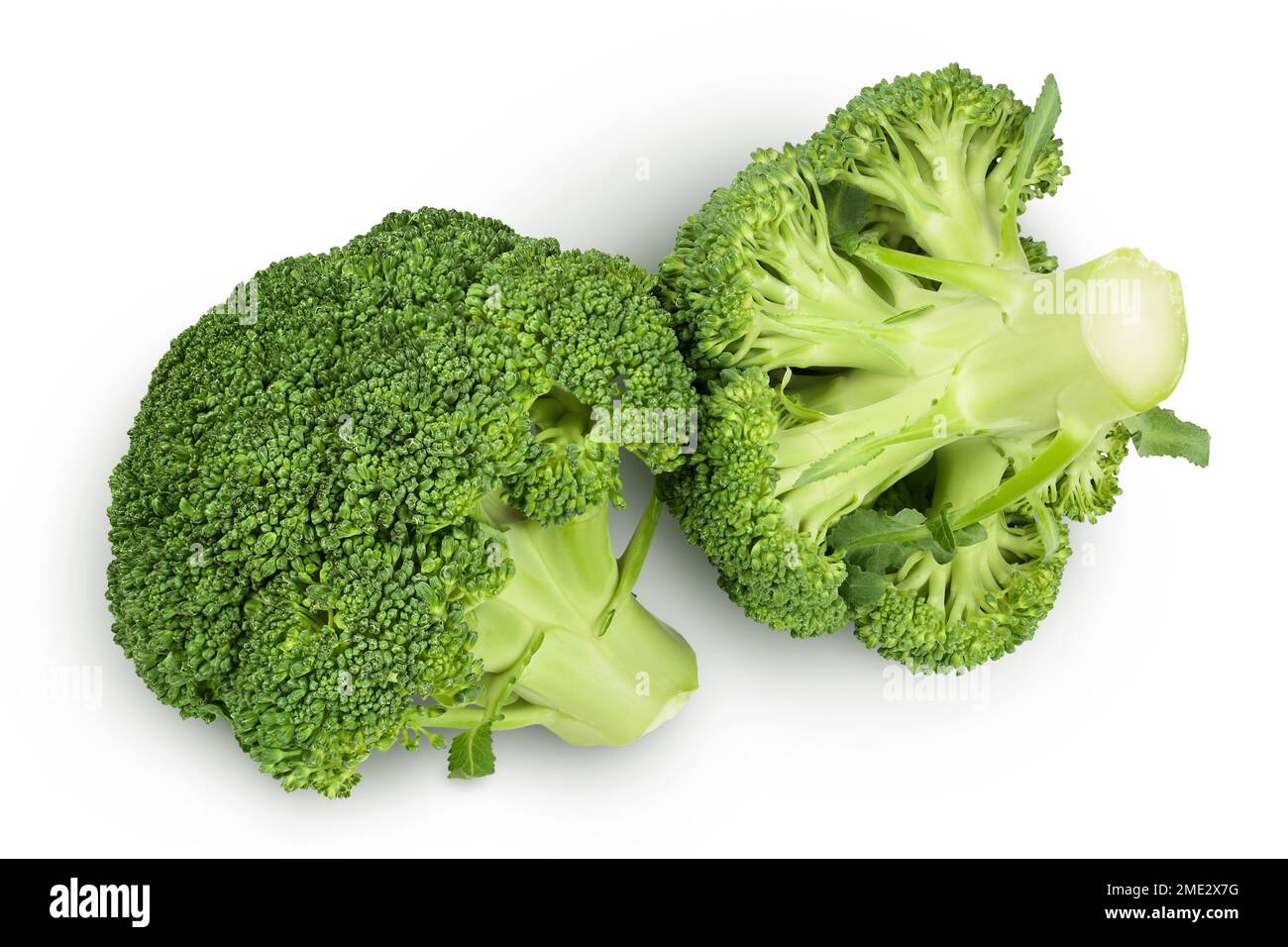 fresh broccoli isolated on white background close-up with full depth of ...