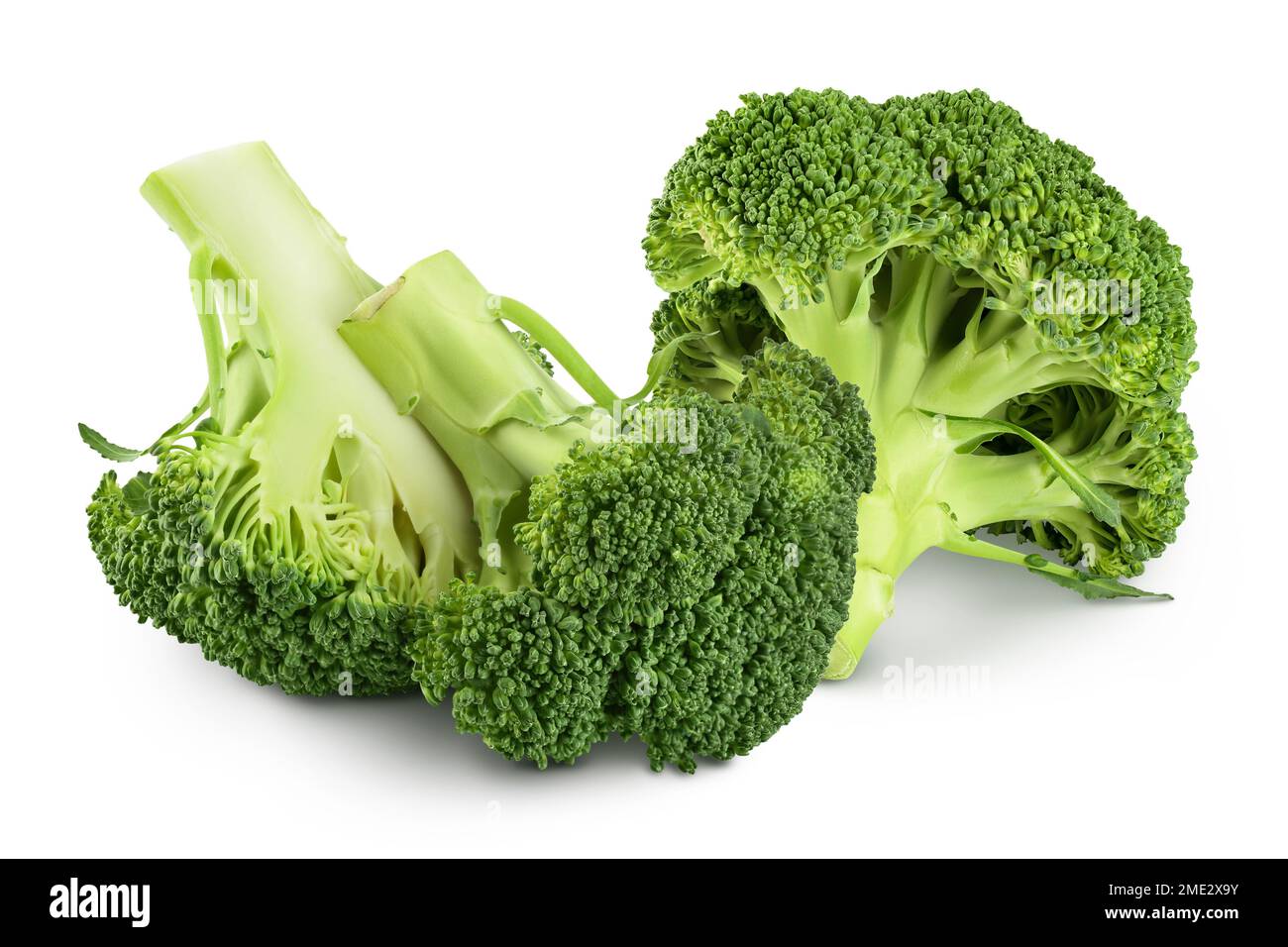 fresh broccoli isolated on white background close-up with full depth of ...