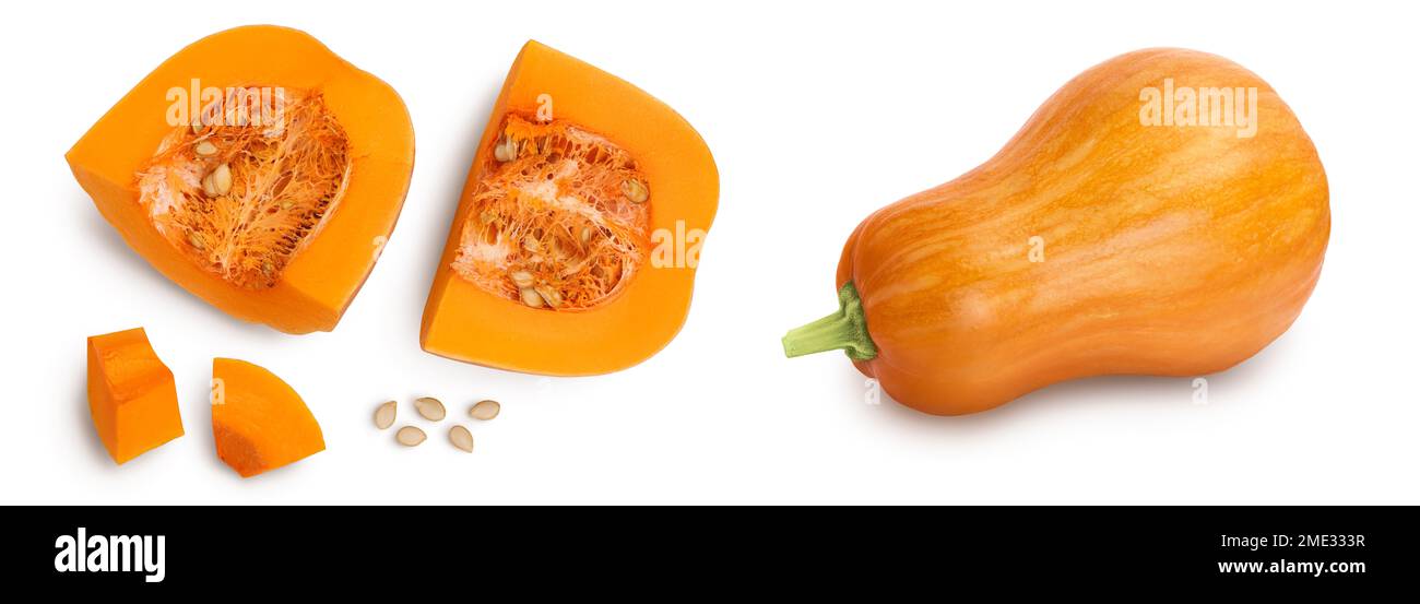 butternut squash slice isolated on white background with full depth of ...