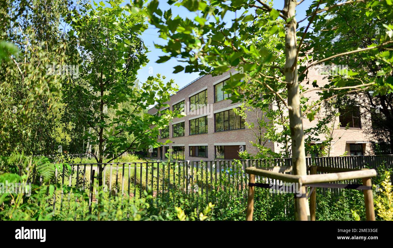 Eco architecture. Green tree and glass office building. The harmony of ...