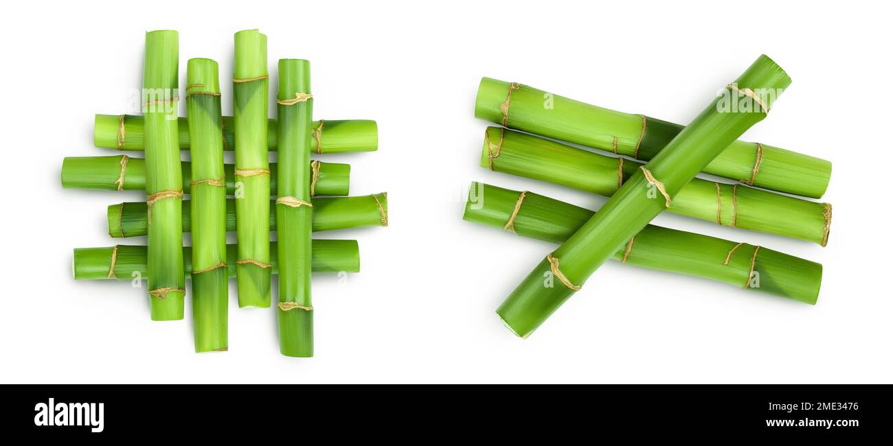 Green bamboo isolated on white background with full depth of field. Top ...