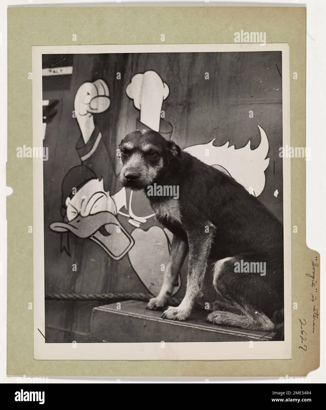 The Coast Guard-manned LCI's mascot, Soogie, a three-invasion veteran ...