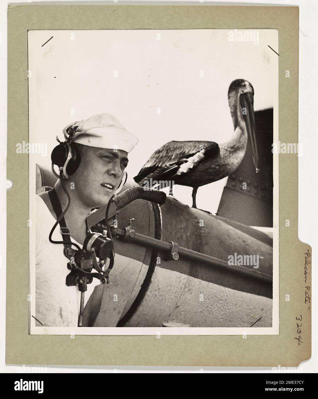 Pelican Pete, Mascot but Briefly. When members of a U.S. Coast Guard ...