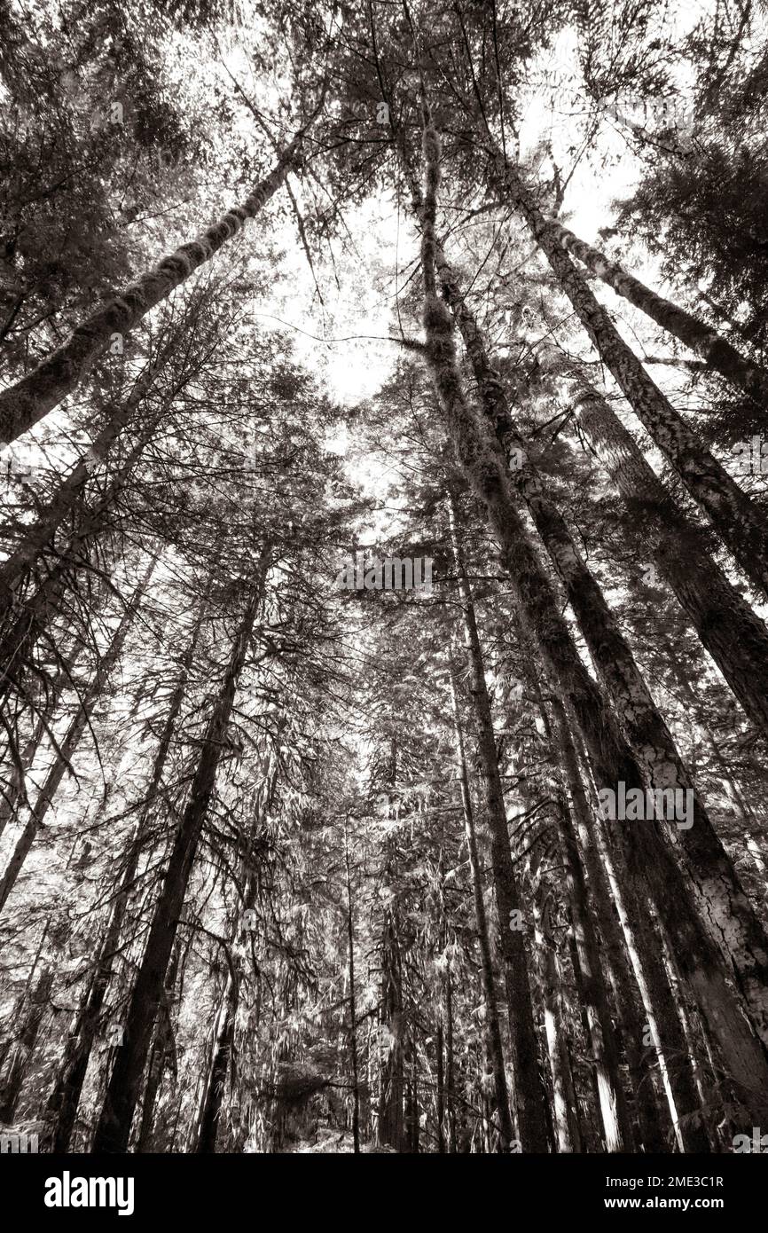 Unique trail of history hi-res stock photography and images - Alamy