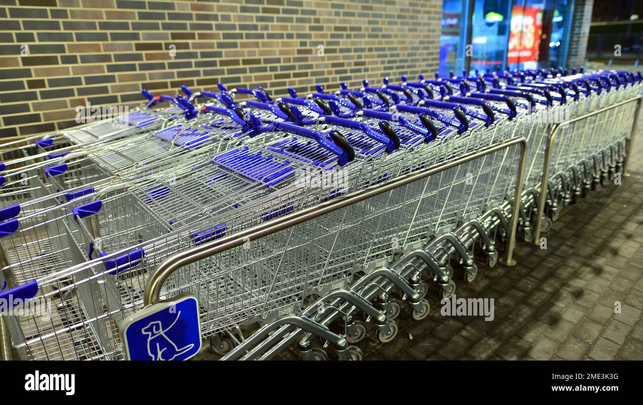 Warsaw, Poland. 29 November 2022. Row of shopping carts outside Aldi ...