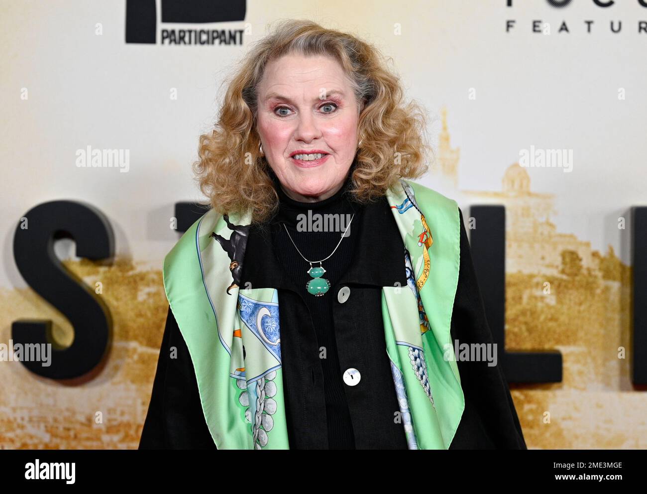 Actress Celia Weston attends the premiere of "Stillwater" at Rose ...
