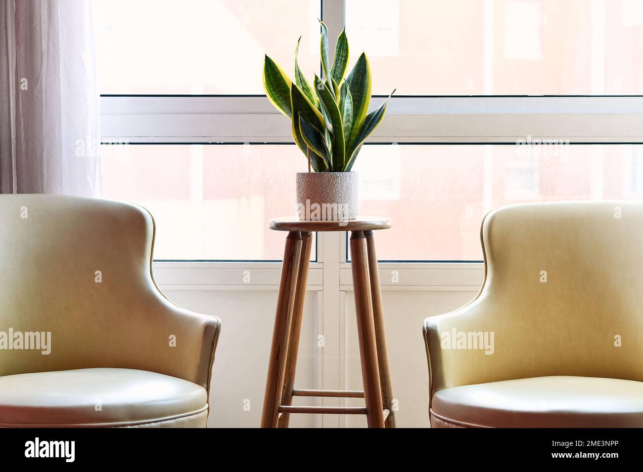 Rest space with armchairs, plants and a stool Stock Photo - Alamy