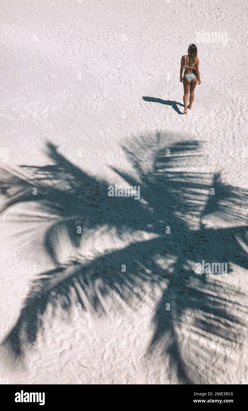 Woman walking ahead of palm tree shadow on sand at beach Stock Photo ...
