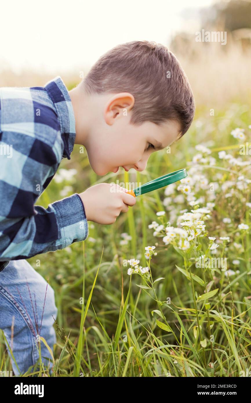 Boy with magnifying glass looking at flowers Stock Photo - Alamy