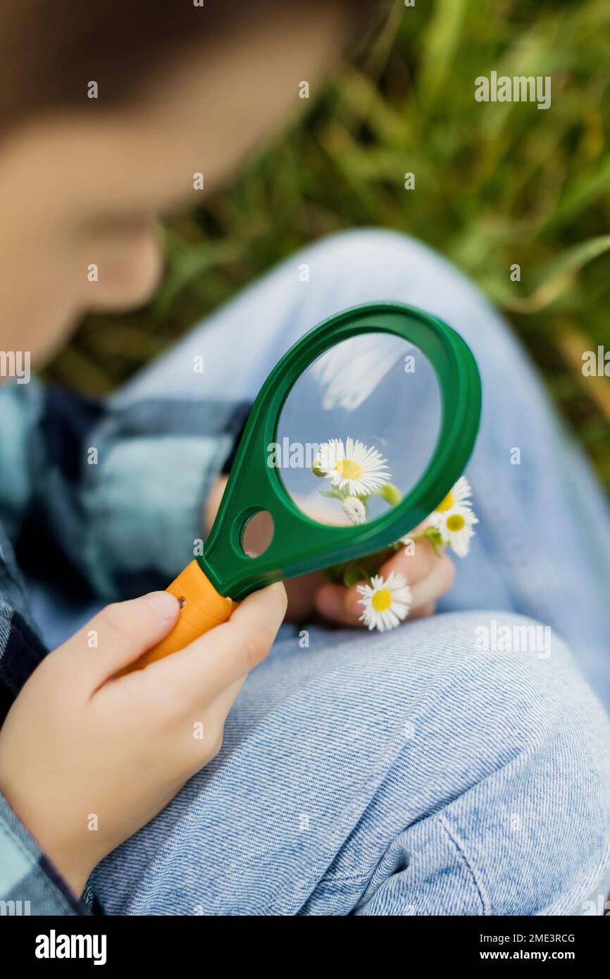 Boy looking at flowers with magnifying glass Stock Photo - Alamy