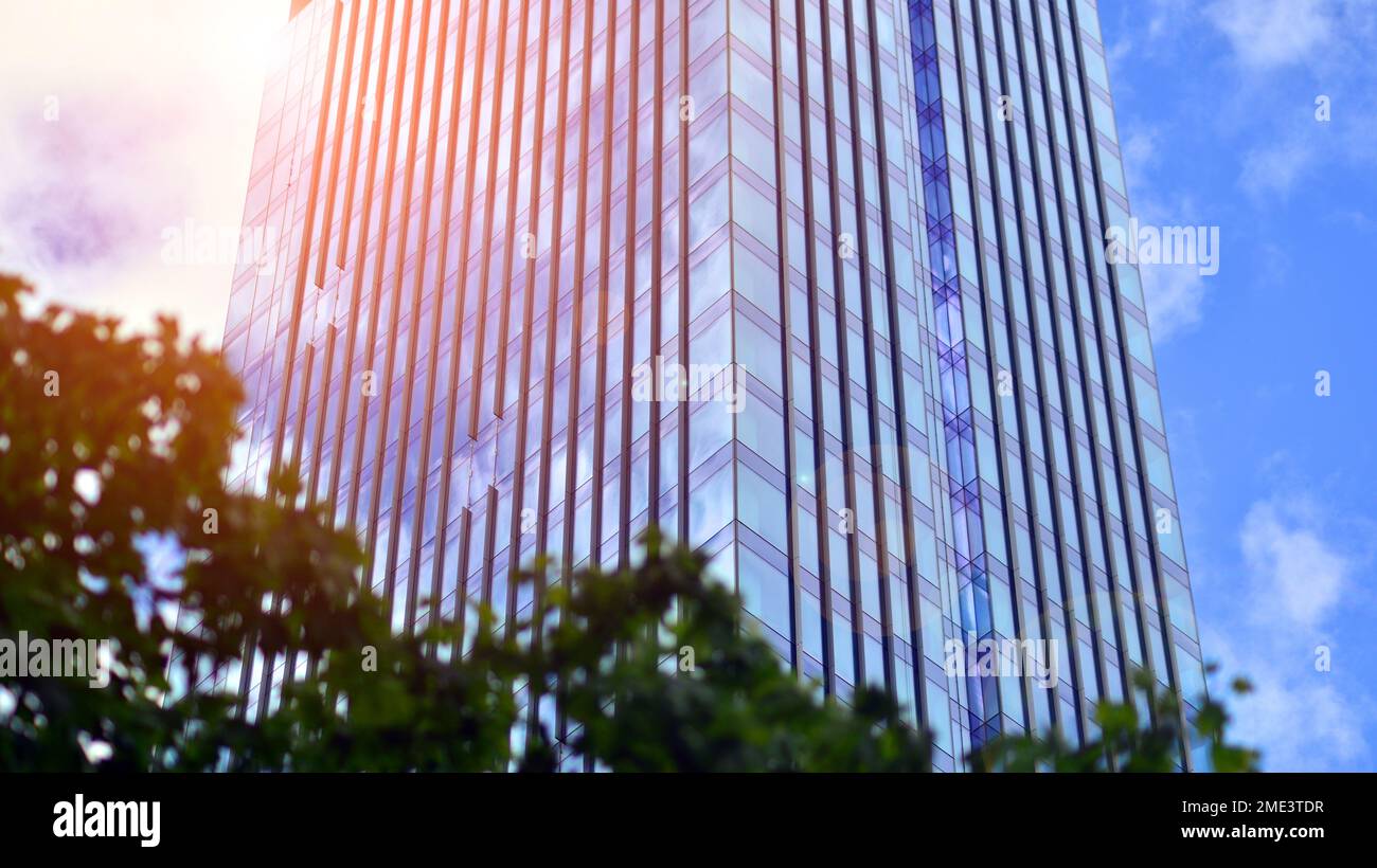 Modern glass facade against blue sky. Bottom view of a building in the ...