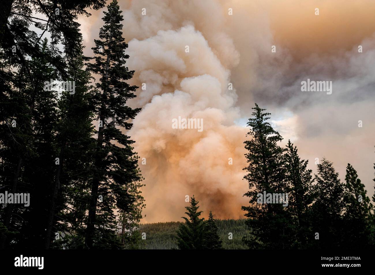 The Dixie Fire burns in Lassen National Forest, Calif., near Jonesville ...