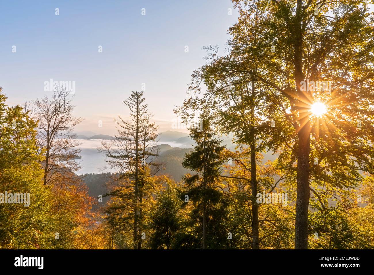 Germany, Bavaria, Rising sun shining through branches of forested ridge ...