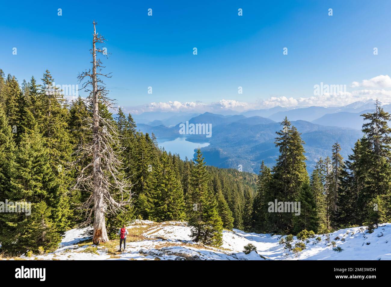 Female hiker looking walchensee lake seen from summit ester mountains ...