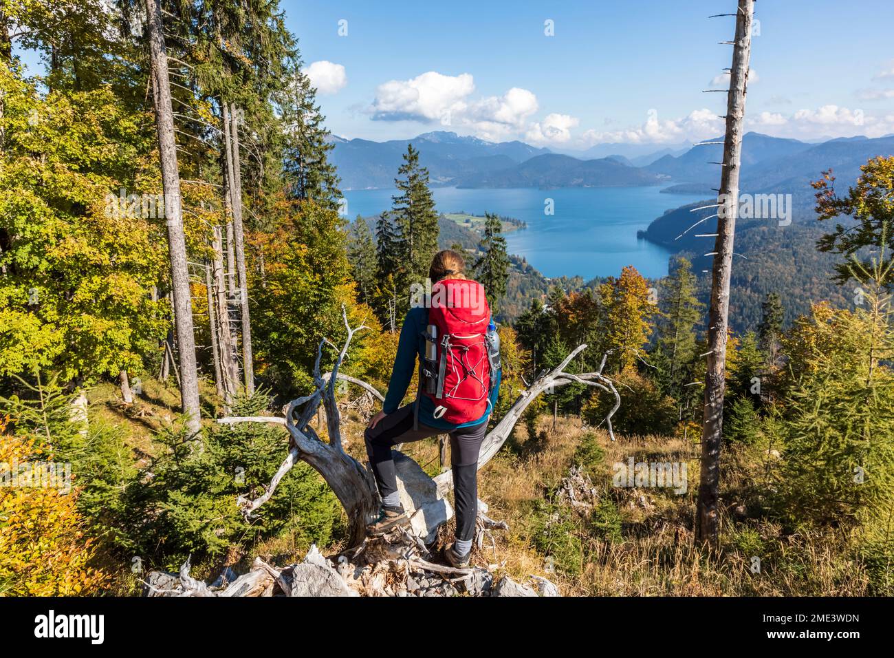 Female hiker looking walchensee lake seen from summit ester mountains ...