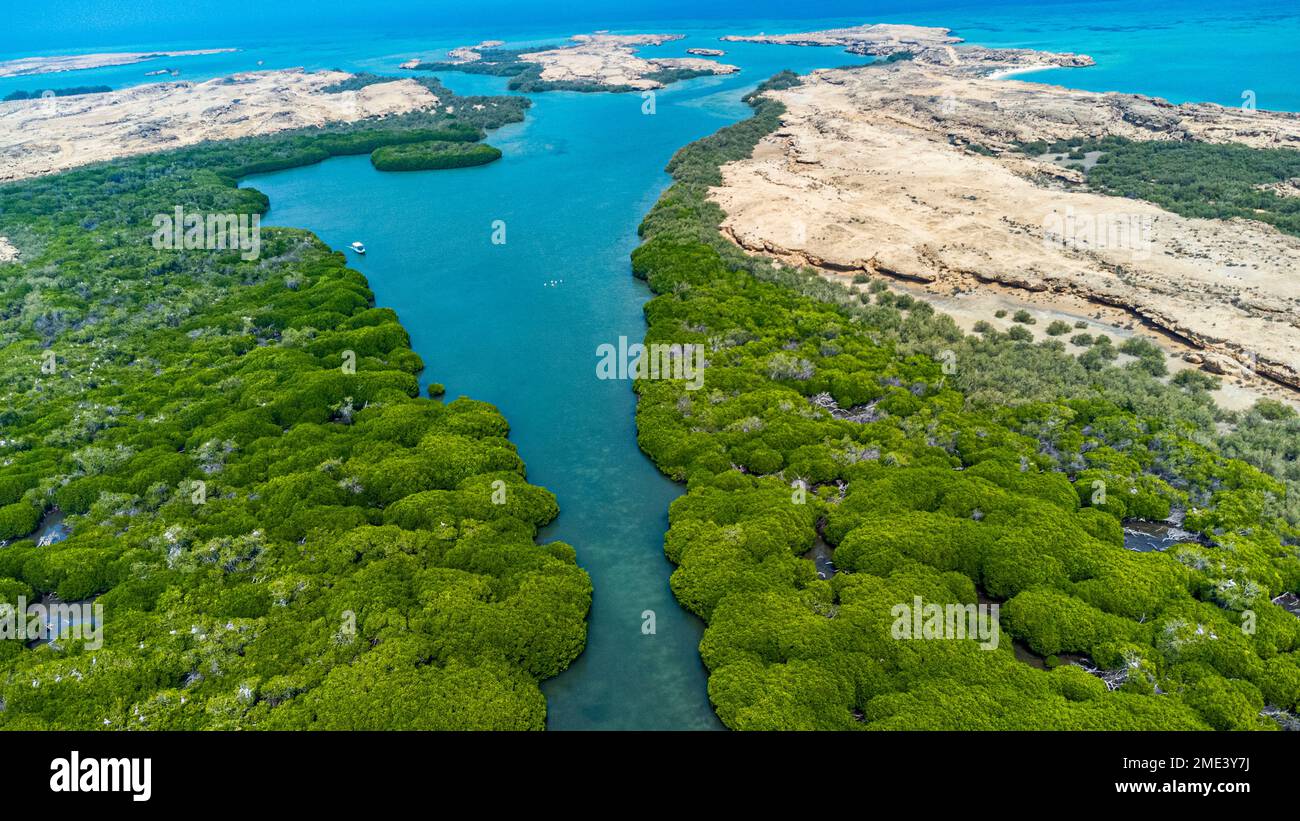 Aerial view mangrove forest farasan islands archipelago hi-res stock photography and images - Alamy