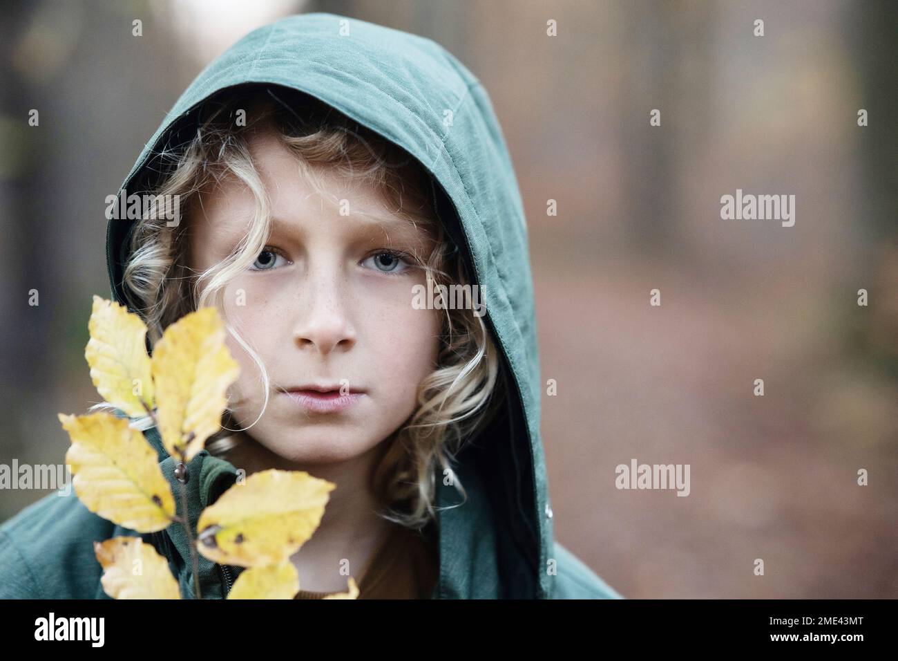 Blond boy with yellow leaves Stock Photo - Alamy