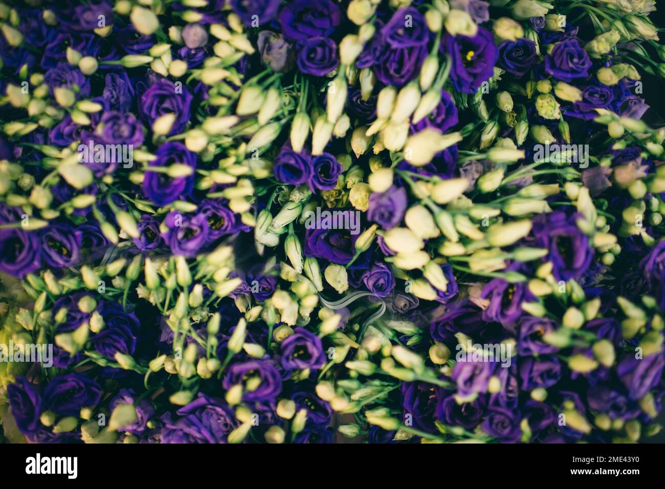 Bunch of colorful spring flowers - background Stock Photo - Alamy