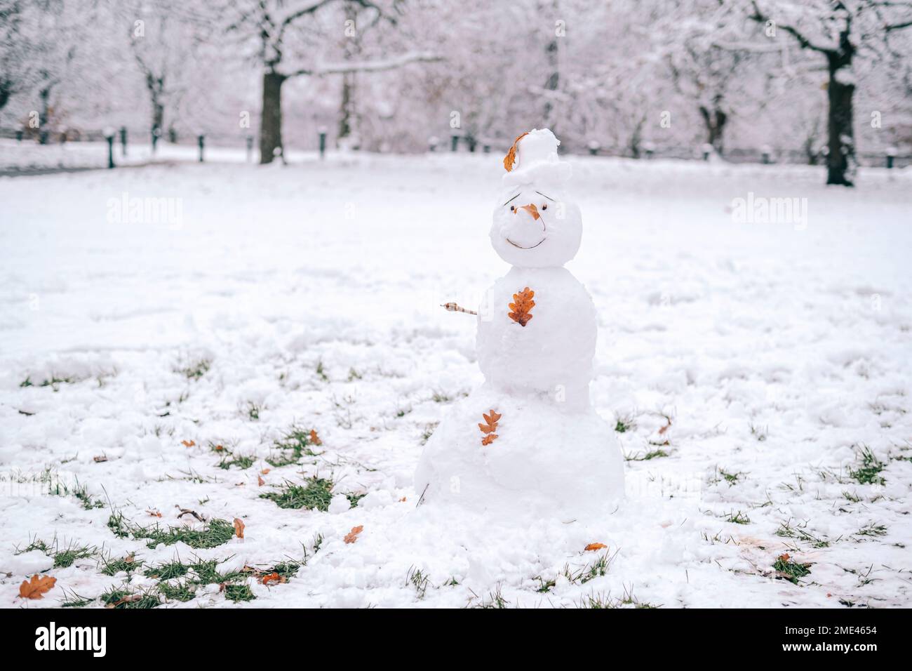 Anthropomorphic snow hi-res stock photography and images - Alamy