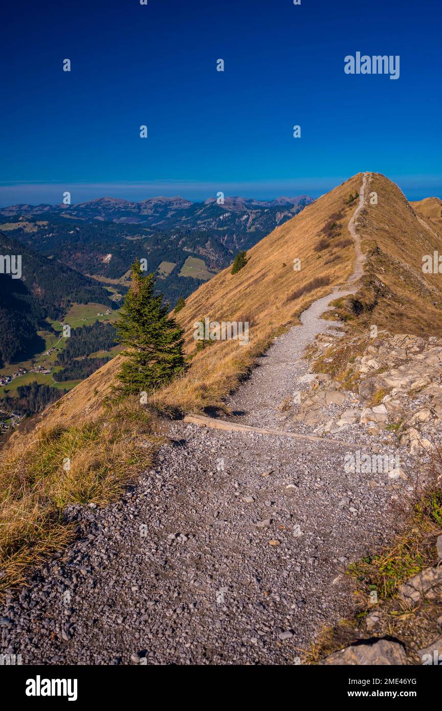 Blue mountain footpath hi-res stock photography and images - Alamy