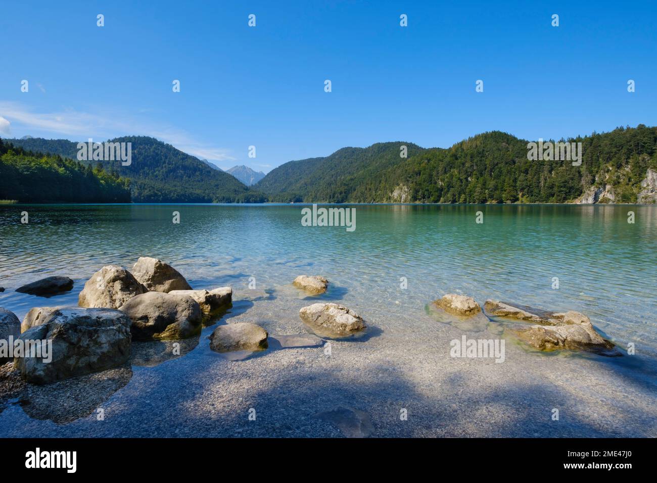 Germany, Bavaria, Shore of Lake Alpsee with forested hills in ...