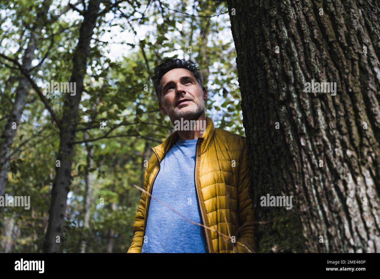 Man standing tree hi-res stock photography and images - Alamy