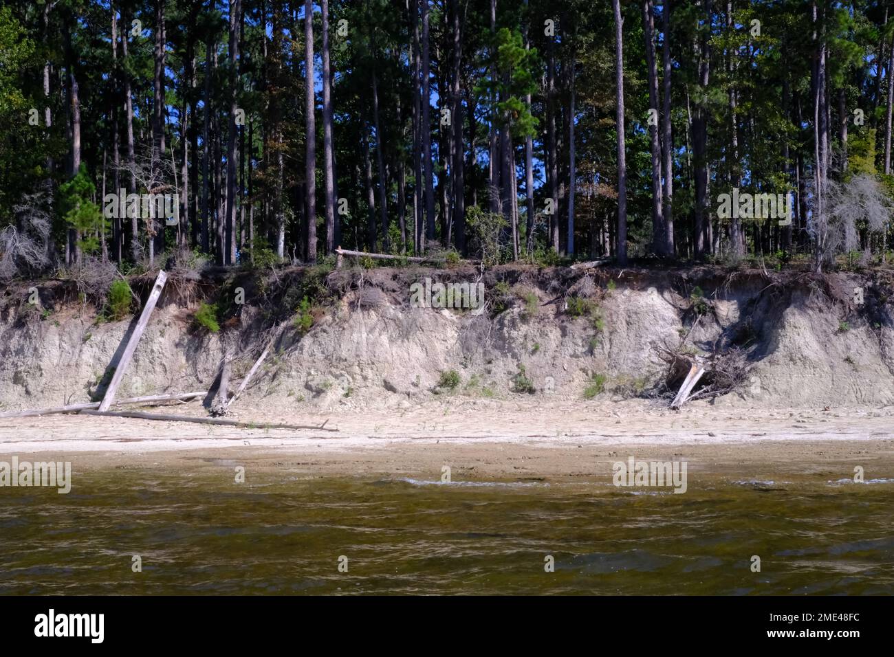 South Toledo Bend State Park in Louisiana has beautiful shorelines all ...