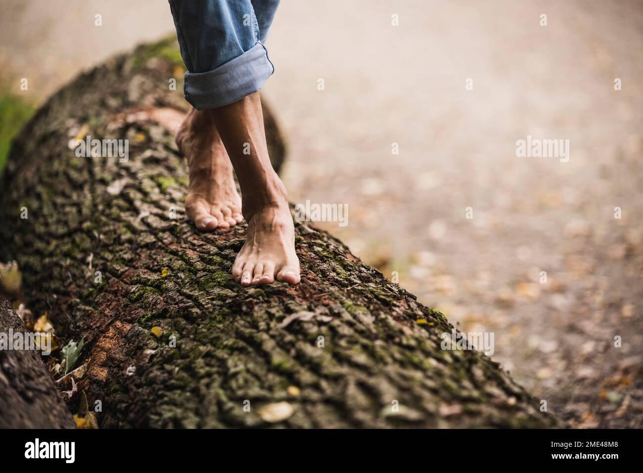 Walking tree hi-res stock photography and images - Alamy